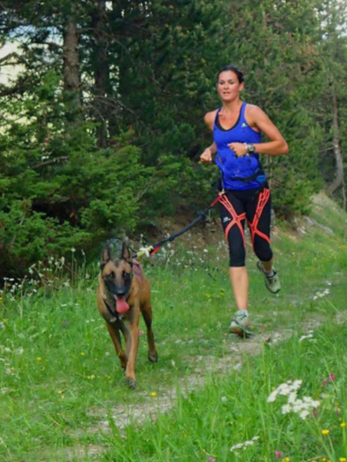 Cani-rando sportive à la 1/2 journée