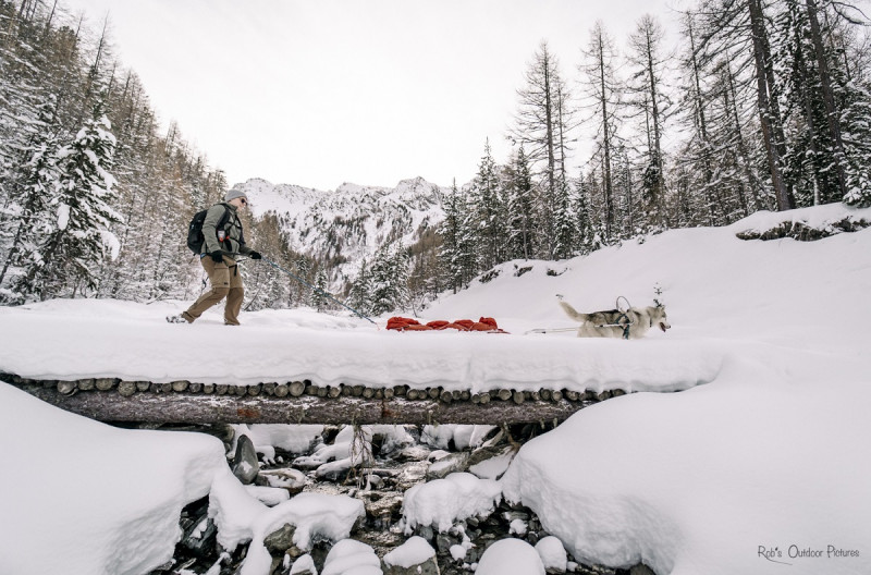 Immersion dans le monde du mushing en famille - Activité ou loisir ...